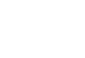 Hostiko Layout 88 – WordPress and WHMCS Hosting Theme